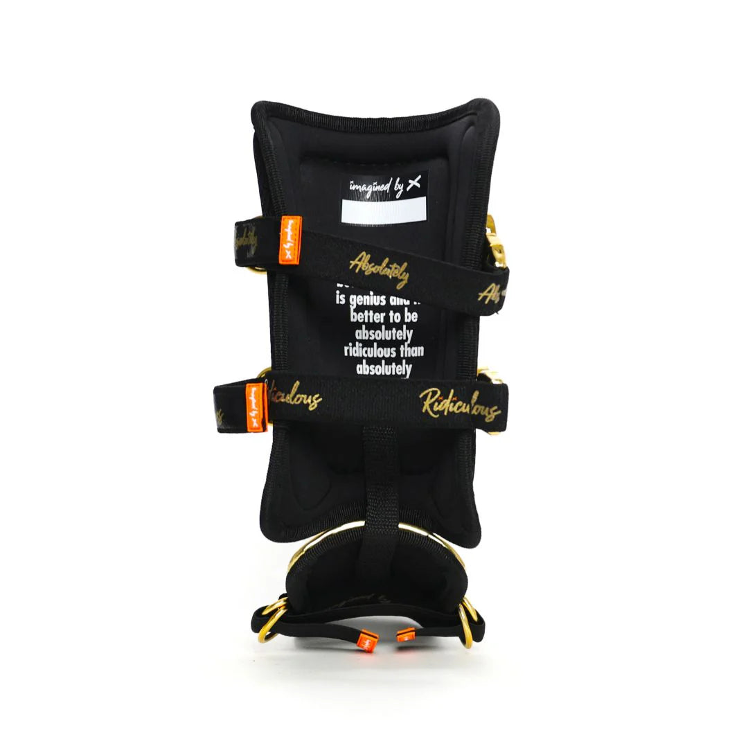 ARiA Vegas Gold Leg Guard || Absolutely Ridiculous Innovations– Ausport ...